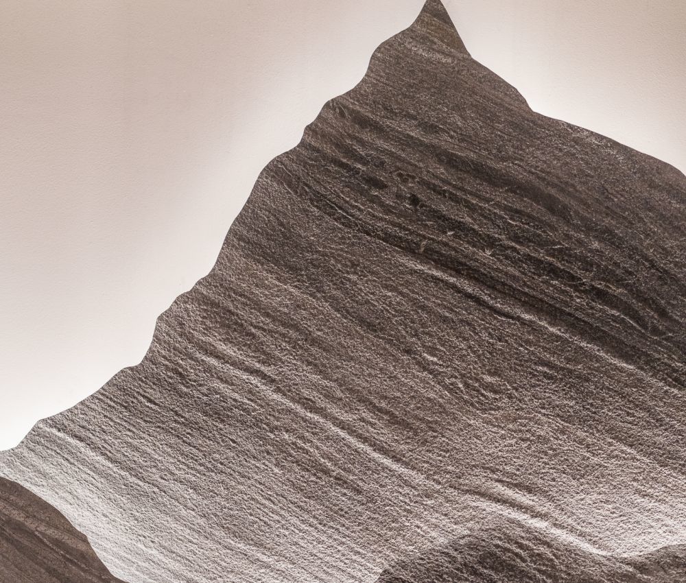 Edelweiss Restaurant - Enjoy the best fondues and raclettes in Geneva